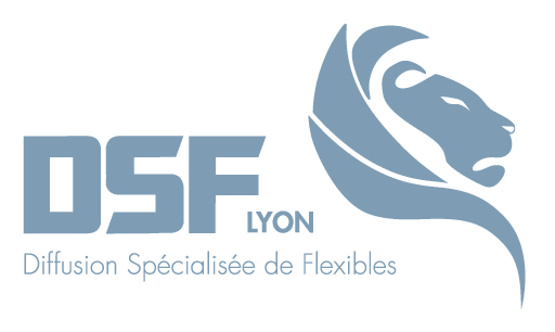 | DSF Lyon